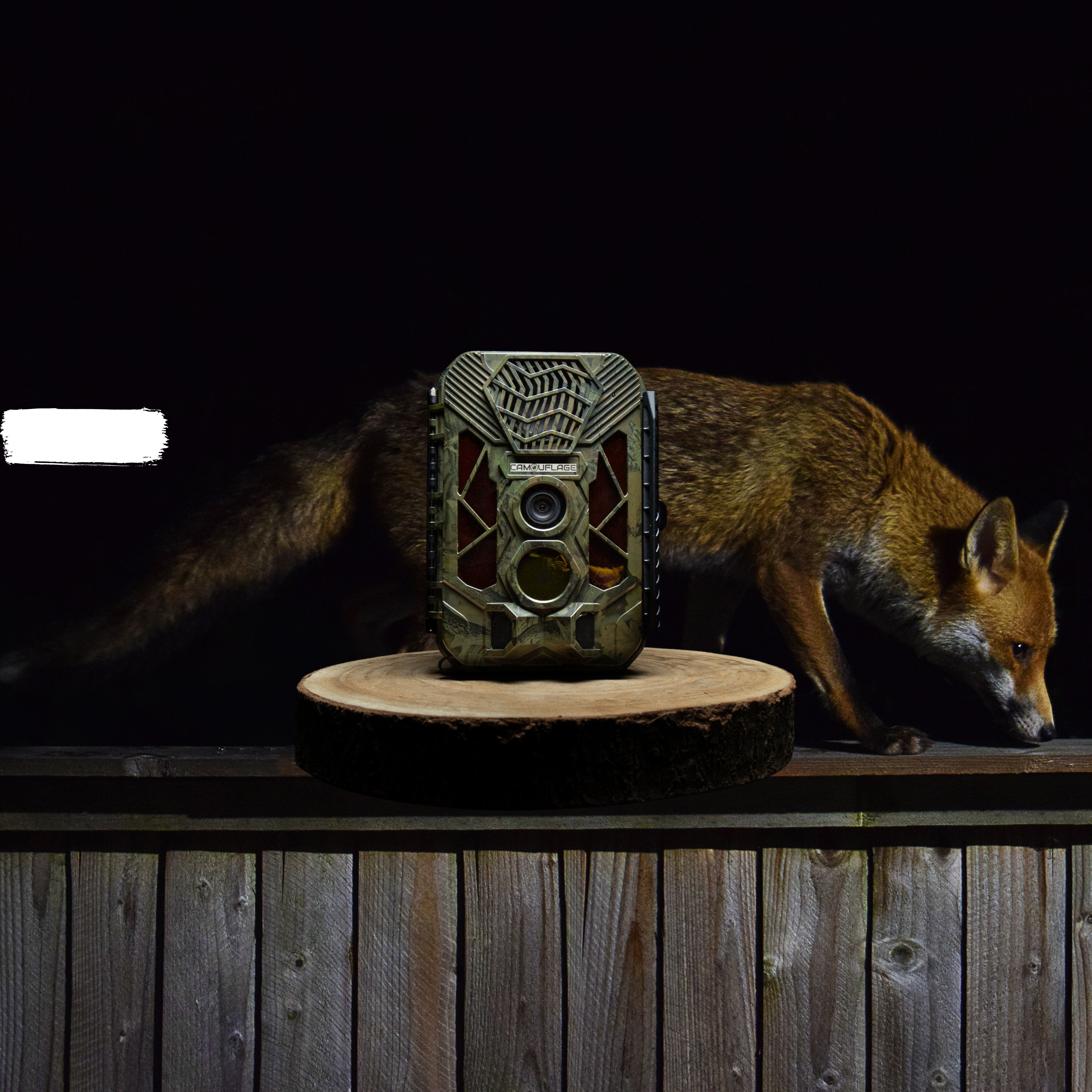 Wildcamera's – WildcameraXL