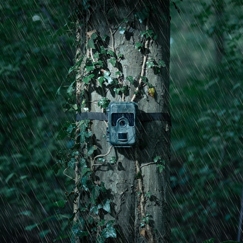 Camouflage SM4-PRO – WildcameraXL